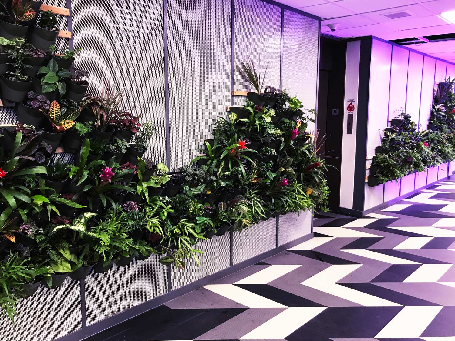 Office Building Basement Level Live Wall - Mankato Minnesota ...