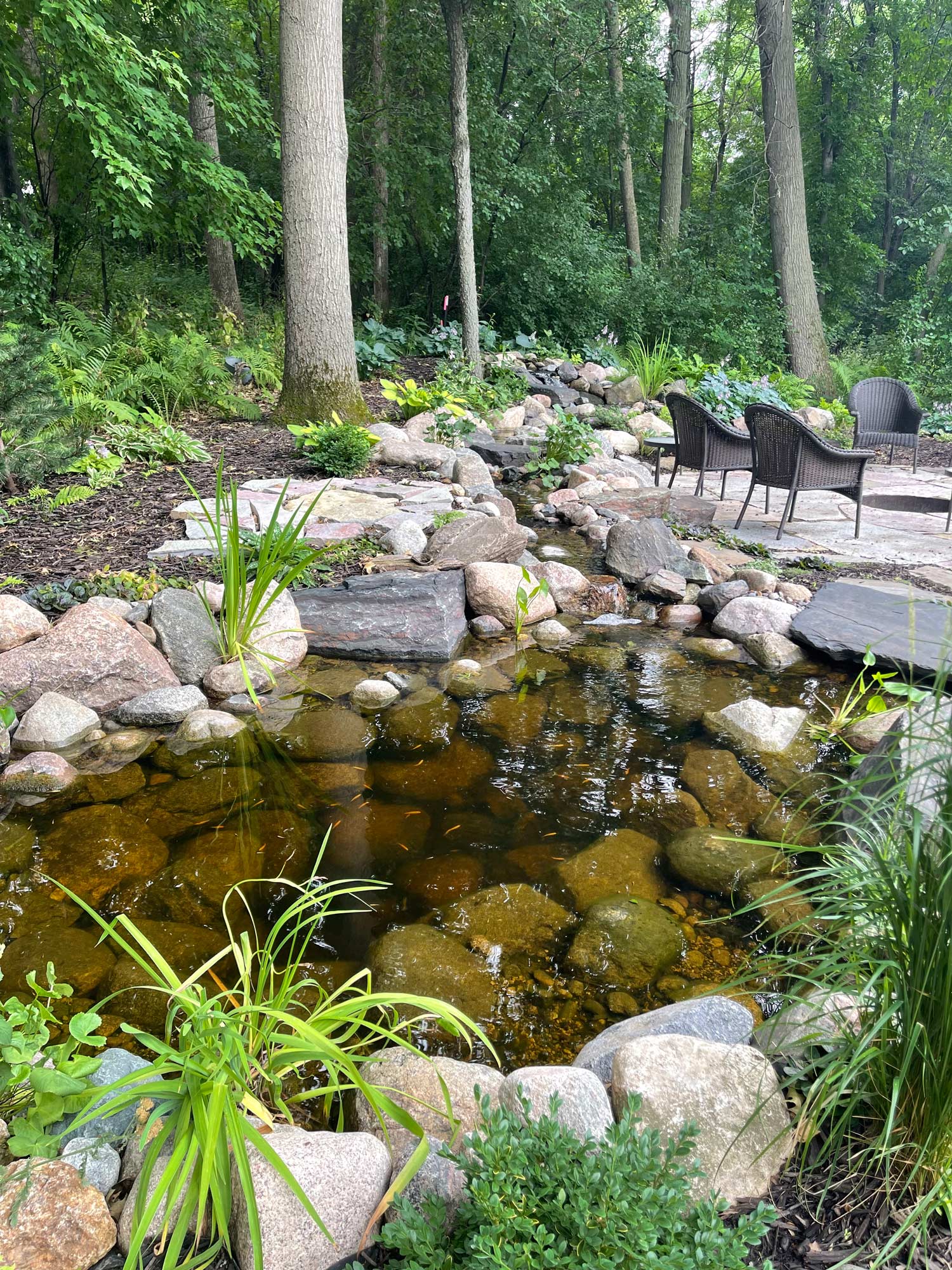 North Shore Stream and Pond - Minnesota - Aqualogical Resources